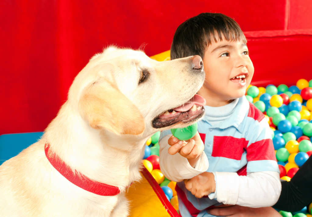 Pup Can Give Child's Speech Therapy Pep, Study Says - Focus Therapy
