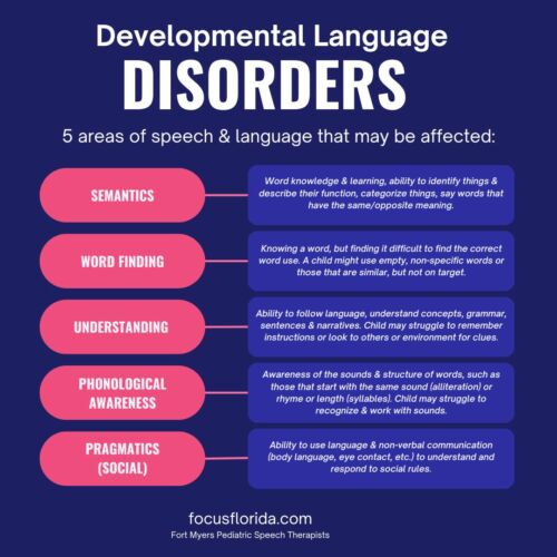 Fort Myers Speech Therapists Explain Developmental Language Disorders ...