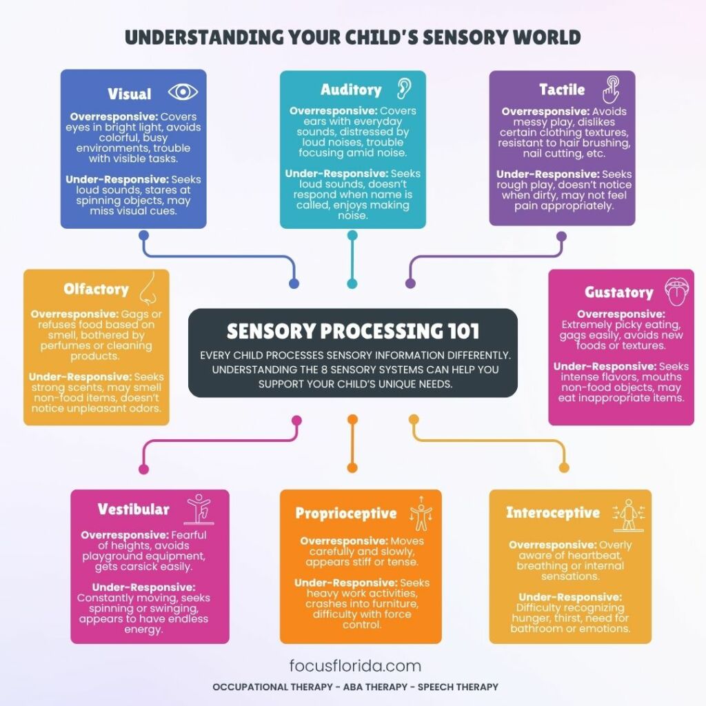 Sensory Processing 101 Focus Therapy
