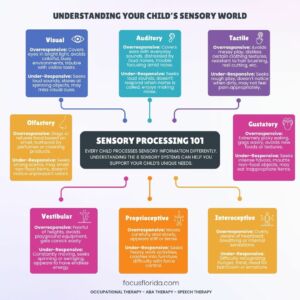 Sensory Processing 101 - Focus Therapy