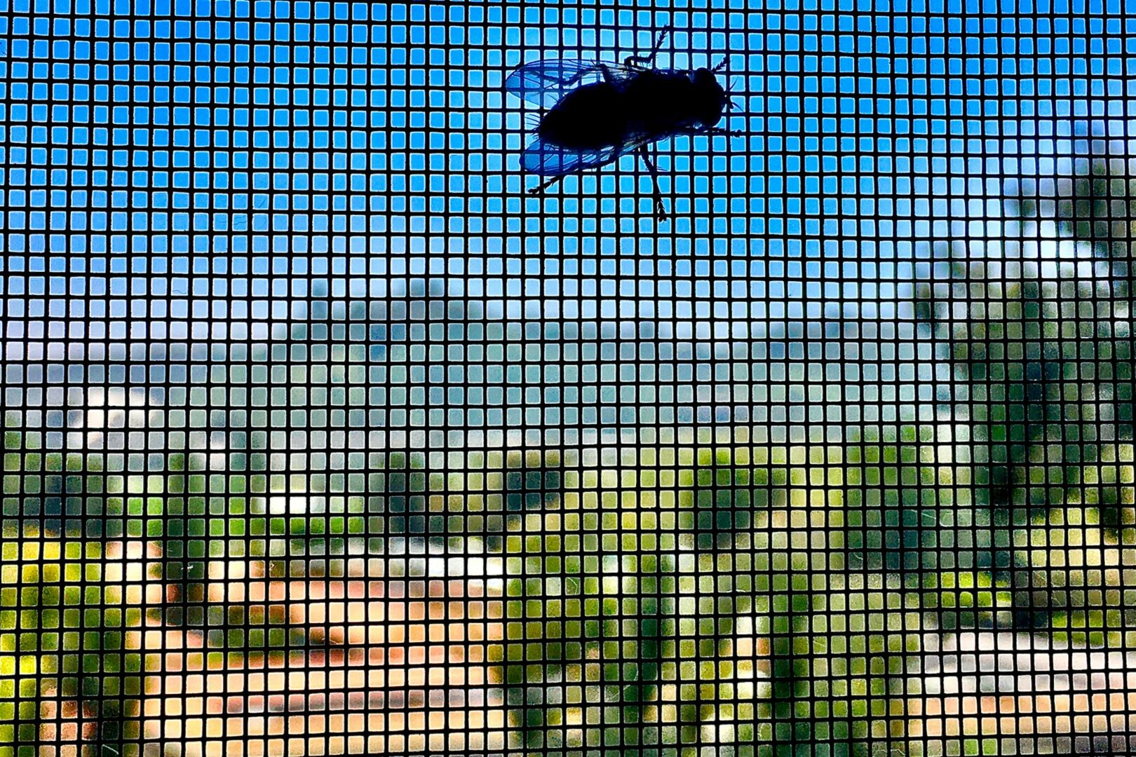 Commercial door Archives - Advance Door